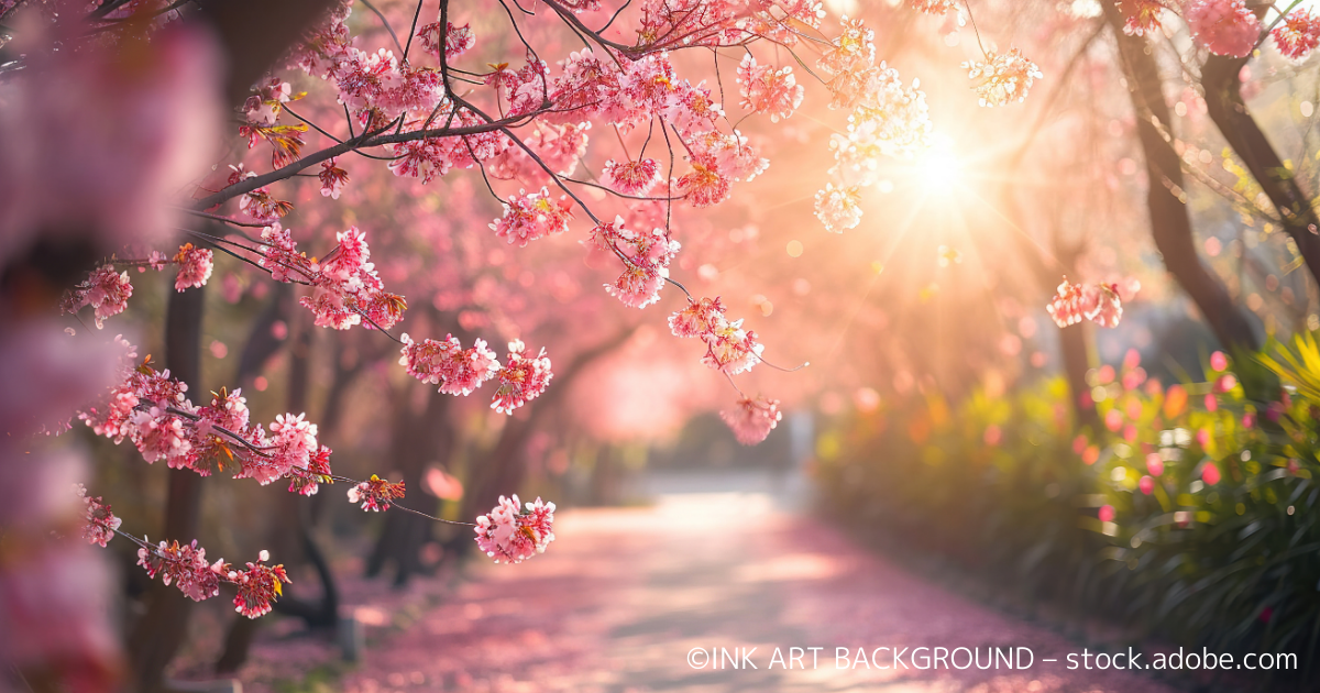 2024年4月にいちばん読まれたEC関連の記事はどれだ!? アクセストップ10|ECzine（イーシージン）