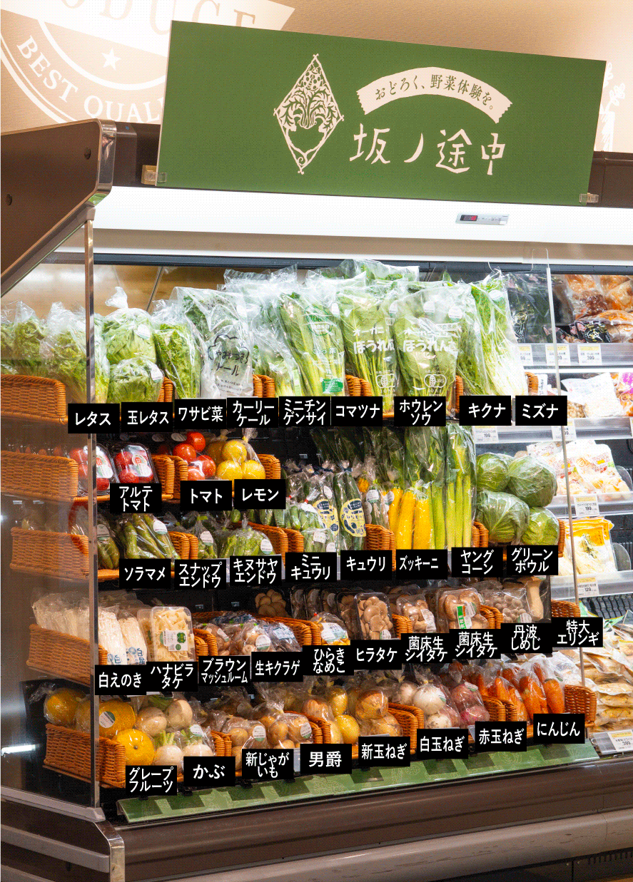 坂ノ途中、関西圏のスーパーでのインショップ事業を強化 10店舗に拡大、2年で売上約8倍の店舗も|ECzine（イーシージン）